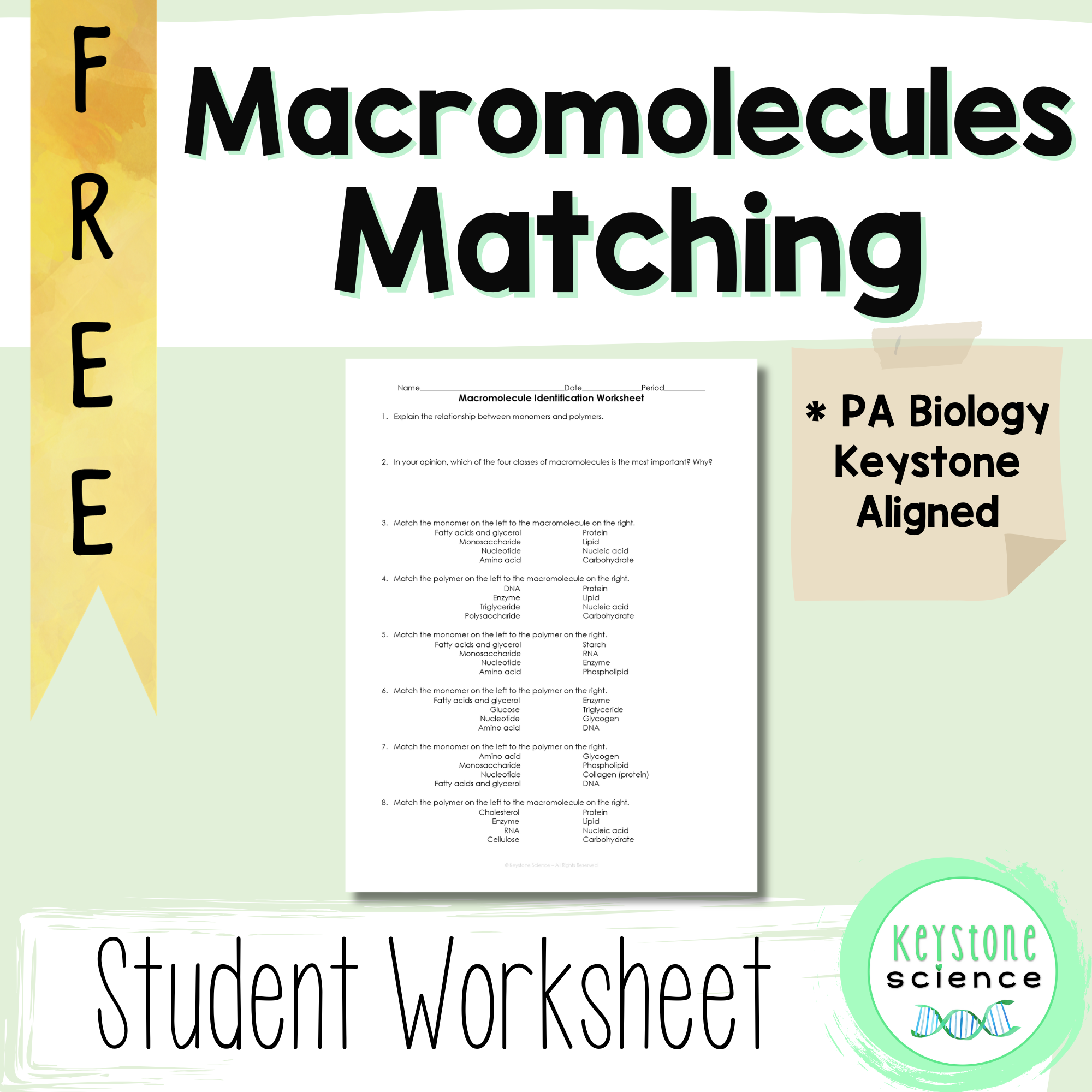 Organic Macromolecule Identification Matching Worksheet with KEY ...