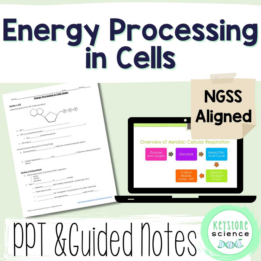 Cellular Respiration Photosynthesis PowerPoint and Guided Notes Keysto ...