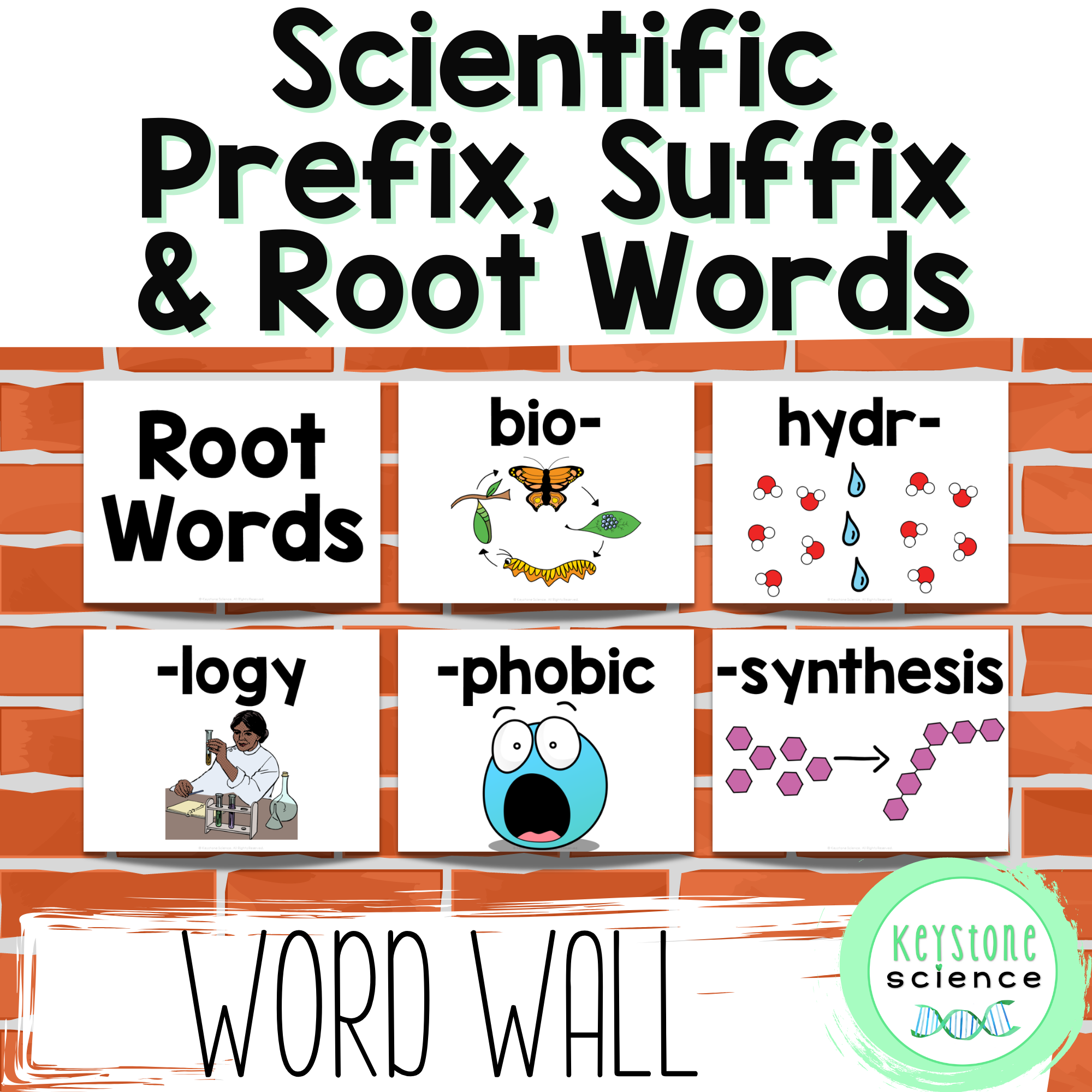 Science Word Wall Prefix, Suffix, and Root Word Vocabulary Terms ESL E ...