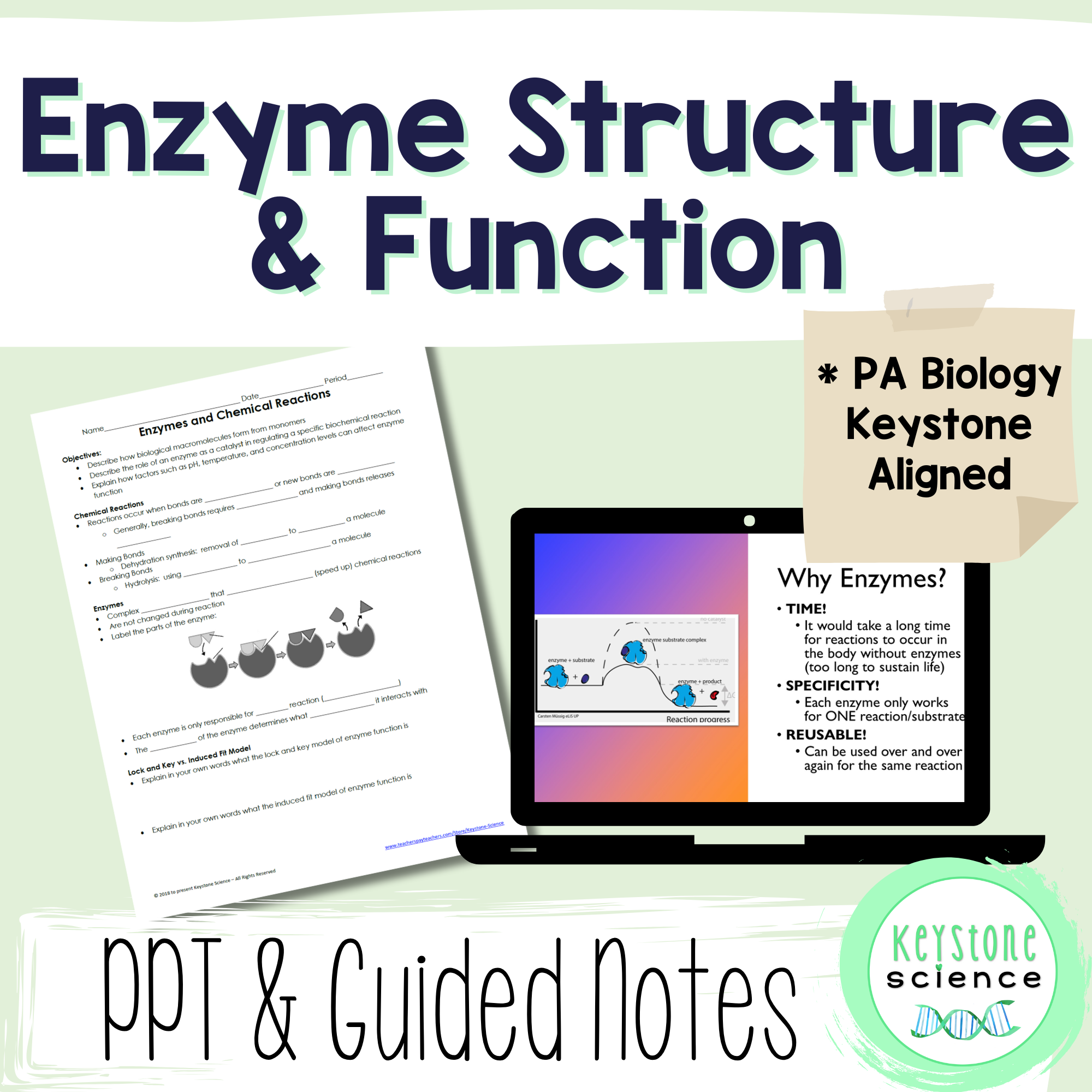 Enzymes PowerPoint and Guided Notes with KEY Biology Keystone Aligned ...