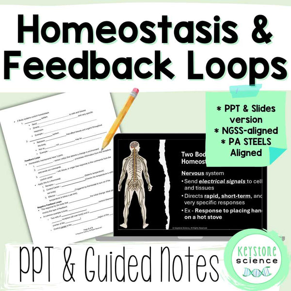 Homeostasis and Feedback Loops High School Biology Lecture Guided Note ...