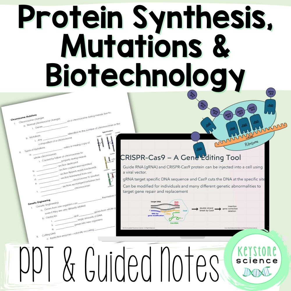 Protein Synthesis PowerPoint, Guided Notes with KEY – Keystone Science