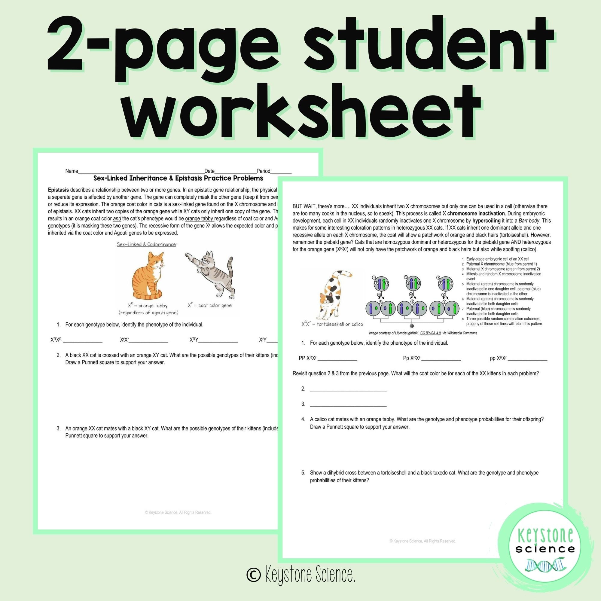 Keystone Science Secondary Science Resources