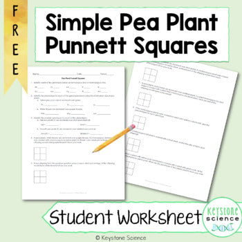 FREE Simple Punnett Square Practice Problems Biology Genetics ...